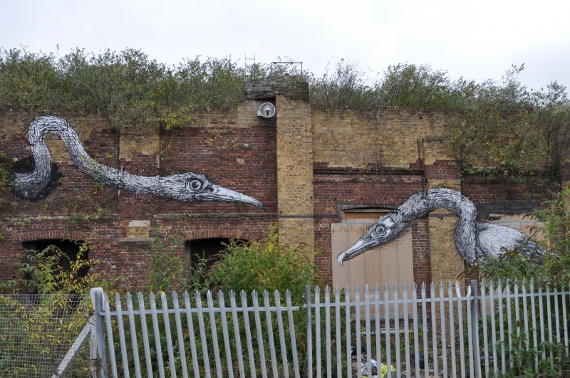 Roa | Street Artists